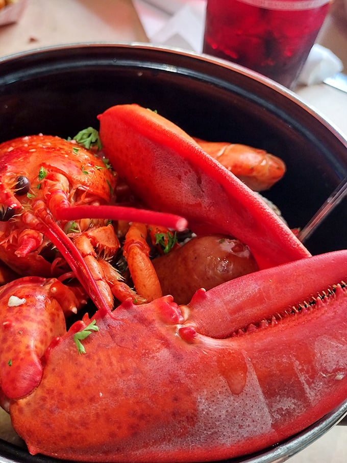 Fresh lobster awaits its delicious destiny in this bubbling pot of coastal perfection and anticipation.