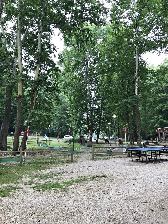 Where putting meets paradise! This charming miniature golf course nestled among towering trees offers a delightful break from hiking trails.