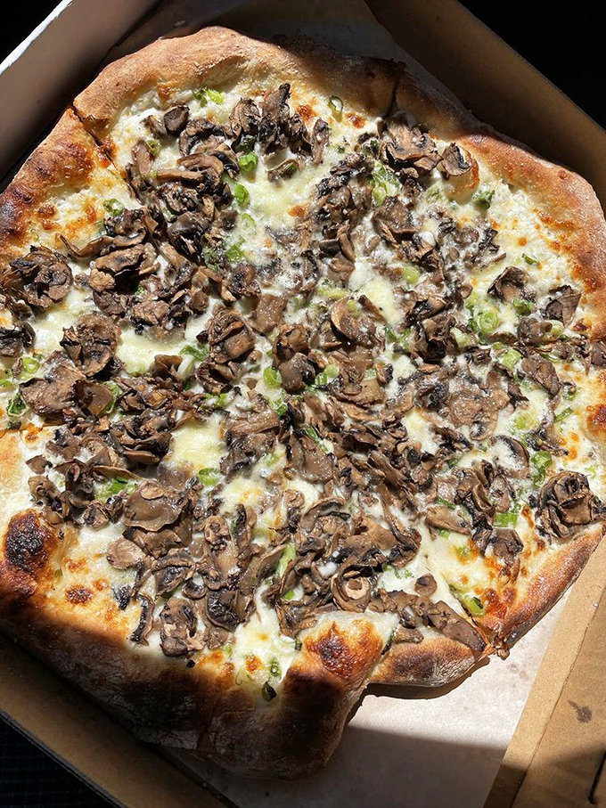 Those mushrooms aren't just toppings, they're the headliners – earthy, roasted, and ready for their close-up.