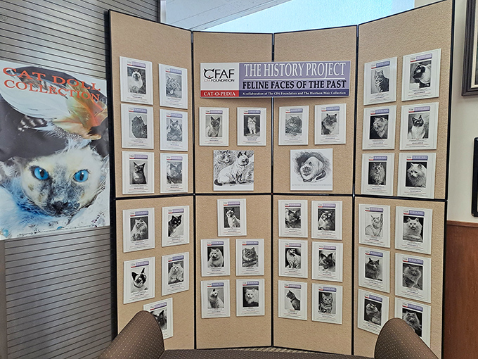 "The History Project: Feline Faces of the Past" showcases notable cats through the decades – the feline equivalent of Hollywood's Walk of Fame.