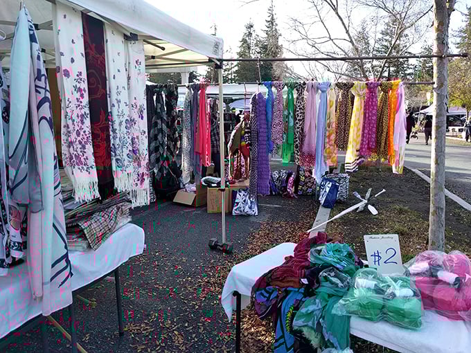 A rainbow of scarves flutters in the gentle Cupertino breeze. Each one has a story—and might tell yours next.
