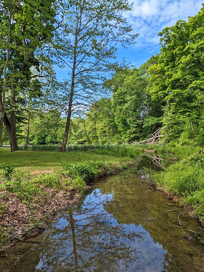 Nature's own babbling brook provides the soundtrack while you contemplate life's bigger questions over lunch.