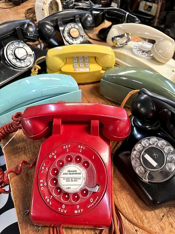 The rotary phone collection – where every dial tells a story and "hanging up" required actual physical effort.
