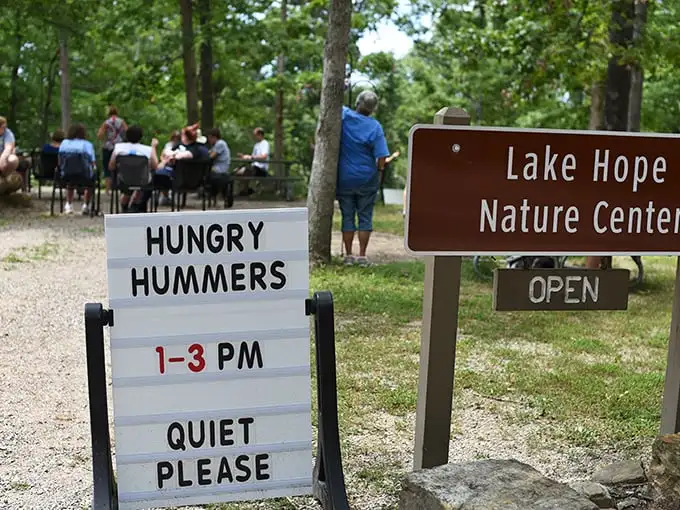 "Hungry Hummers" gathering brings bird enthusiasts together. Even tiny creatures deserve their own fan club!