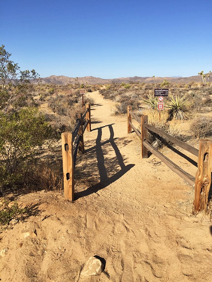 Gateway to geological wonders. These wooden posts aren't just trail markers – they're the threshold between ordinary life and extraordinary discovery.