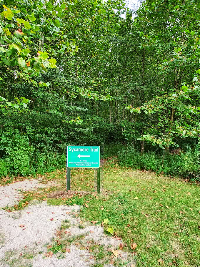 "This way to serenity!" The Sycamore Trail beckons with 0.6 miles of woodland therapy—no appointment or insurance required.