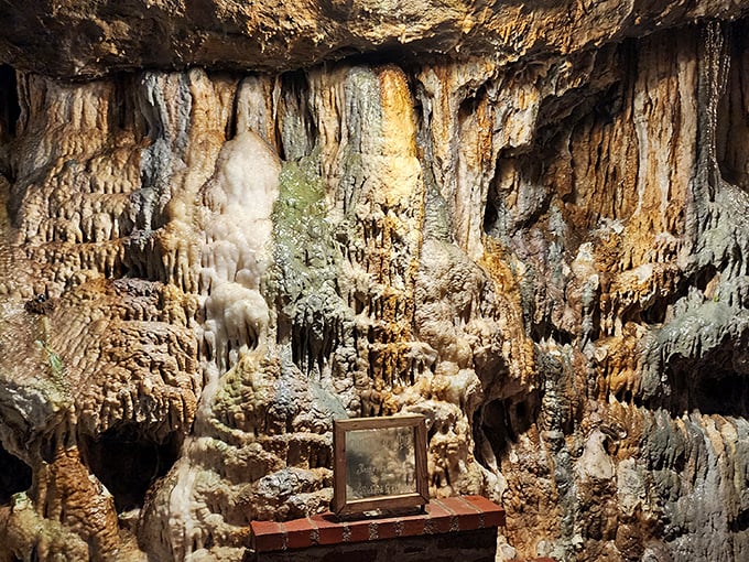 Stalactites and stalagmites playing the world's longest game of "almost touching," creating a cathedral-like atmosphere that makes even atheists whisper.