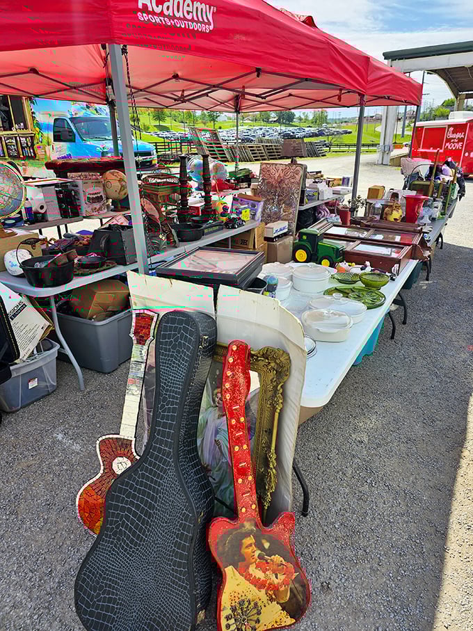 Guitar cases that once traveled to gigs now display their own kind of music—a symphony of collectibles arranged with the precision of a vintage orchestra.