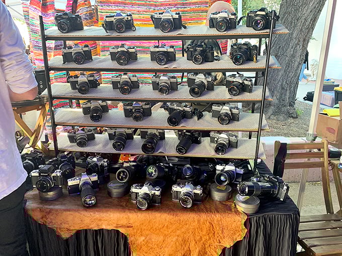 Vintage camera heaven for analog enthusiasts. Each lens has captured thousands of moments before landing here – talk about photographic karma!