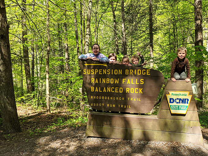 Trail markers that actually tell you where you're going—a revolutionary concept! These wooden signposts are the unsung heroes of stress-free hiking.
