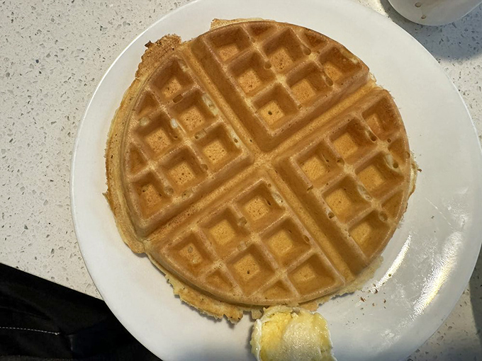 Golden waffle perfection with those signature square divots – nature's ingenious way of creating butter reservoirs.