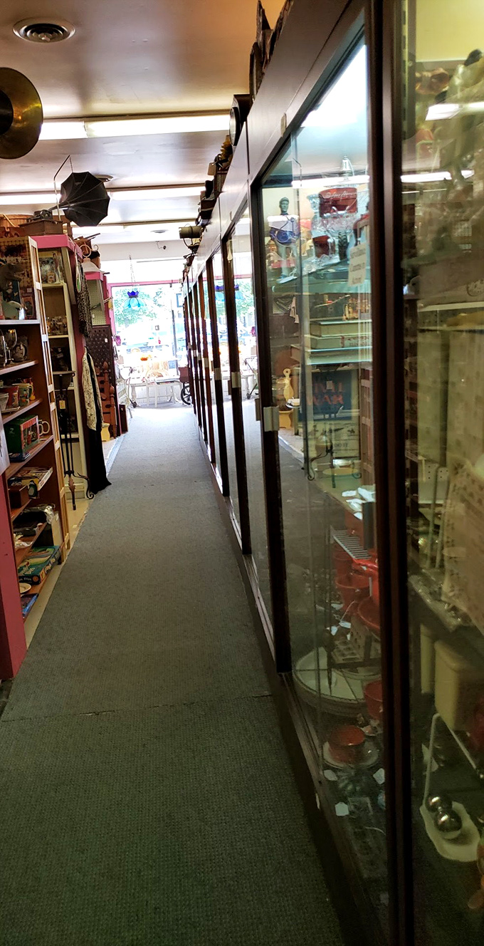 Display cases line this corridor like a museum of everyday Americana, each glass pane protecting stories waiting to be discovered and taken home.