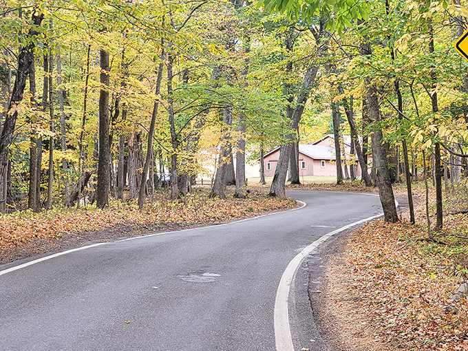 Each curve reveals another postcard moment. Driving slow isn't just recommended here—it's practically mandatory for your soul.
