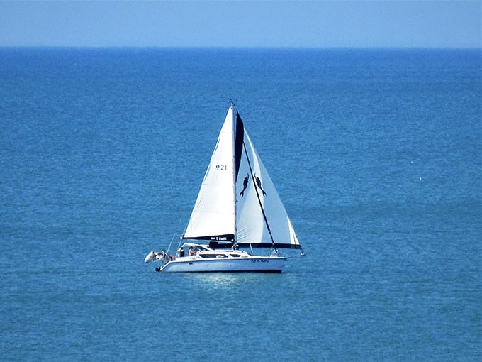Sailing the Gulf of Mexico isn't just transportation—it's meditation. White sails against blue waters create the perfect Florida postcard moment.