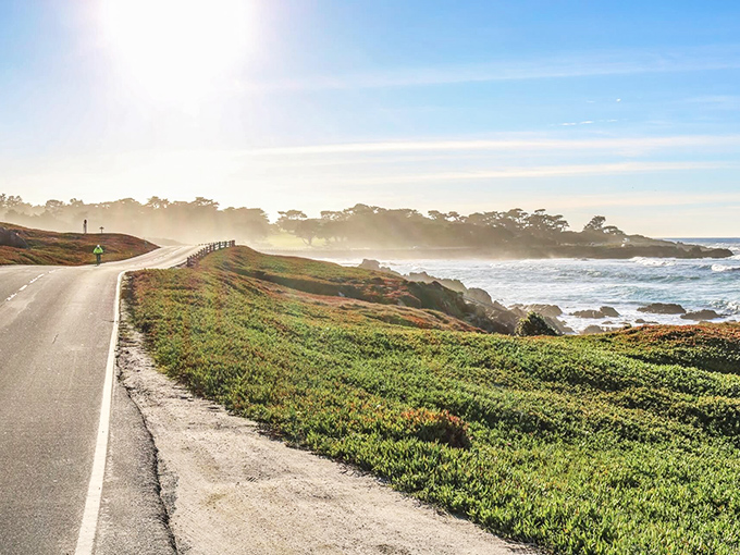 17-Mile Drive: where cypress trees have better ocean views than most millionaires, and they never complain about property taxes.