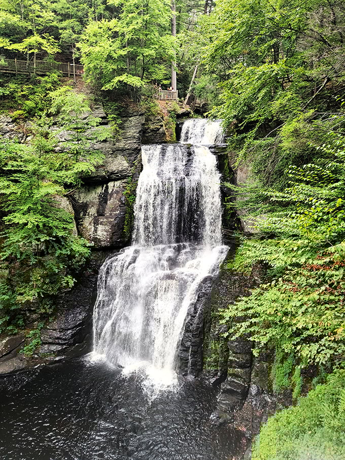 Bushkill Falls' cascading waters create nature's ultimate staircase—no StairMaster membership required for this breathtaking view.