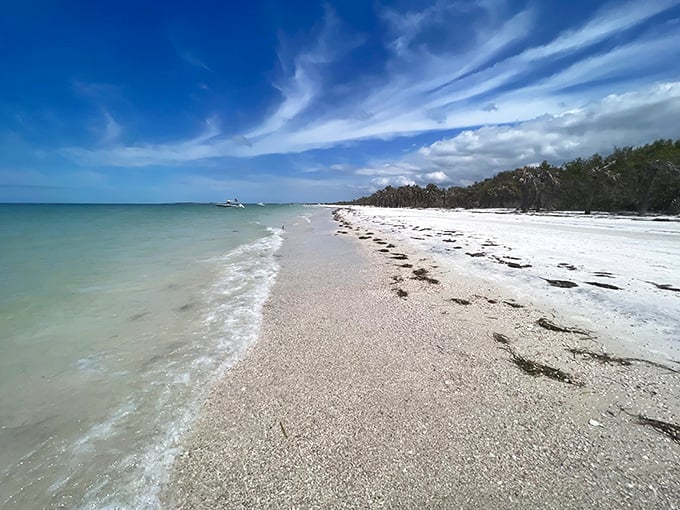 Caladesi Island's untouched shoreline makes you wonder if you've stumbled onto a movie set for "Paradise: The Original Version."