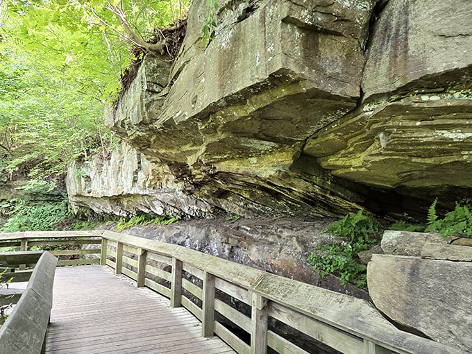 Cuyahoga Valley: Moss-covered rock formations create nature's own cathedral. Walking through feels like stepping into a prehistoric world, minus the dinosaurs.