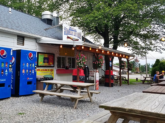 Eddie's Footlong Hot Dogs looks like summer vacation incarnate – string lights, picnic tables, and the promise of footlong happiness under a shady tree.