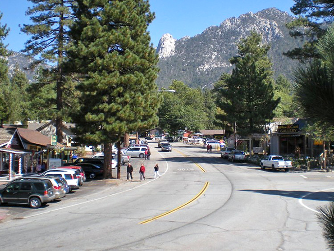 Idyllwild's main drag where pine trees tower over everything like nature's own security detail.