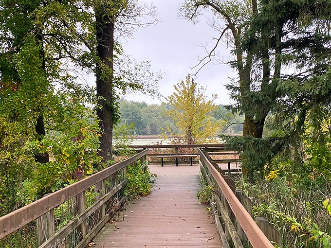 Indiana Dunes proves the Midwest can do beaches too—sand dunes and wetlands creating an ecosystem that feels delightfully out of place yet perfectly at home.