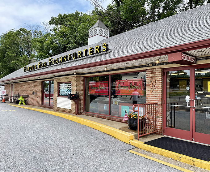 Jimmy John's outdoor seating area—where picnic tables and string lights create the perfect hot dog ambiance.
