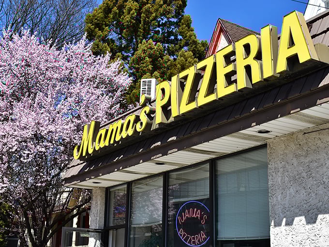 Mama's Pizzeria's cheerful yellow sign is like sunshine, promising the comfort of a perfect cheesesteak in suburban Bala Cynwyd.