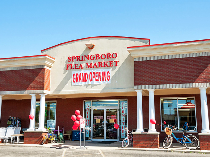 Fresh start, fresh finds! Springboro's grand opening balloons promise a new chapter in bargain hunting.