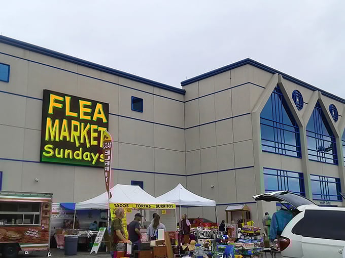 Sunday morning magic! Wolff's Flea Market transforms an ordinary parking lot into a bazaar of endless possibilities.