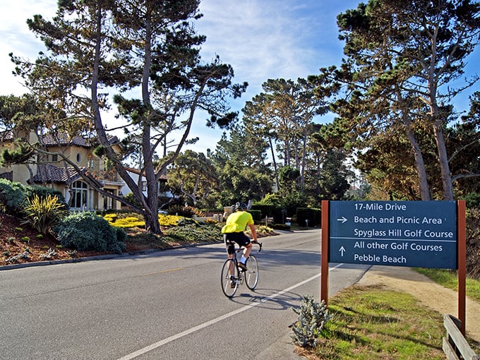 Pebble Beach's famous coastal route—the kind of scenery that makes you wonder why you ever watch travel shows on TV.