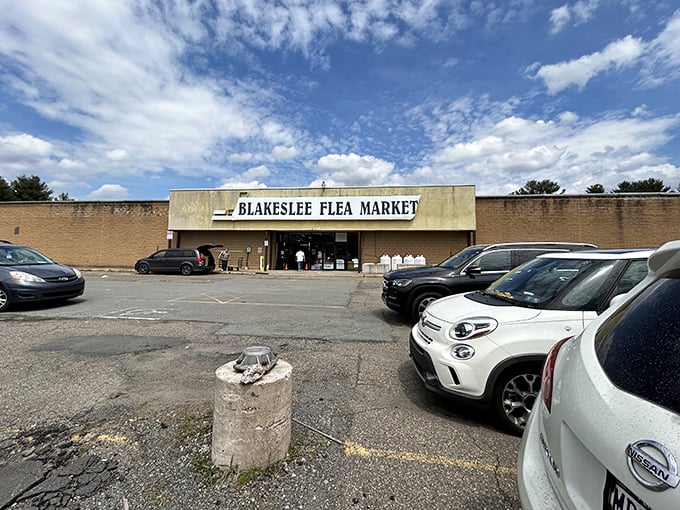 The famous Blakeslee Flea Market: where one person's "what is that?" becomes another's "I need that!"