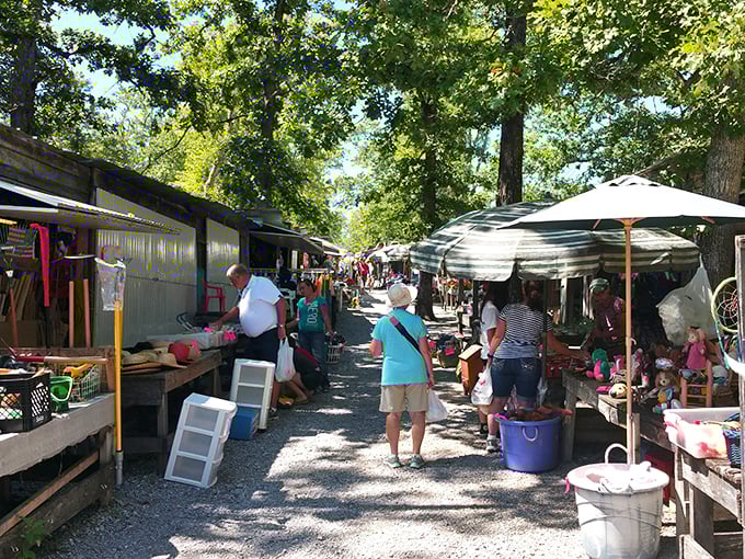Outdoor adventure meets bargain hunting. Crossville Flea Market's rustic pathways lead to unexpected treasures.