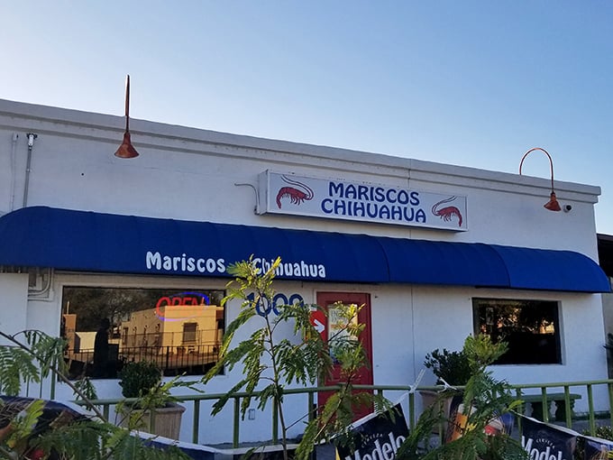 As evening falls, this humble seafood spot transforms into a beacon for Sinaloa-style ocean treasures.