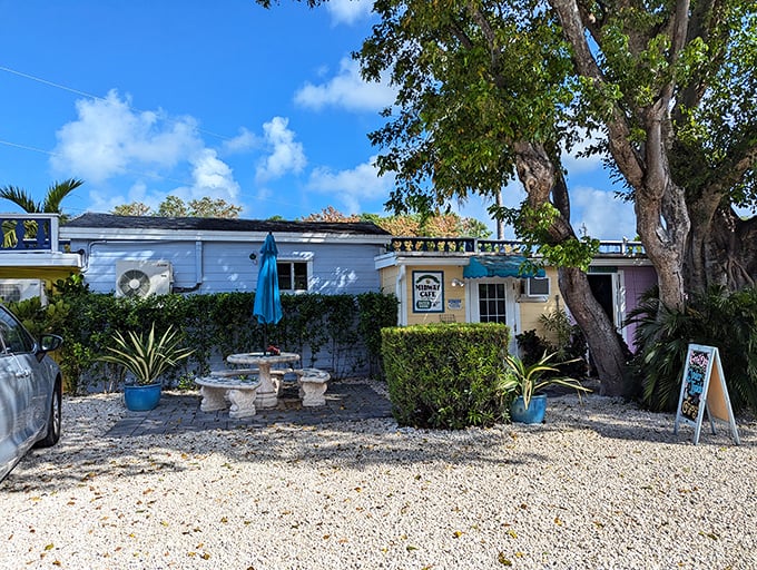 This unassuming roadside gem proves that sometimes the best treasures in the Keys aren't found underwater.