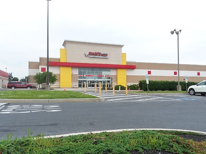 This Ollie's looks like it could house enough bargains to fill a small neighborhood – and probably does!