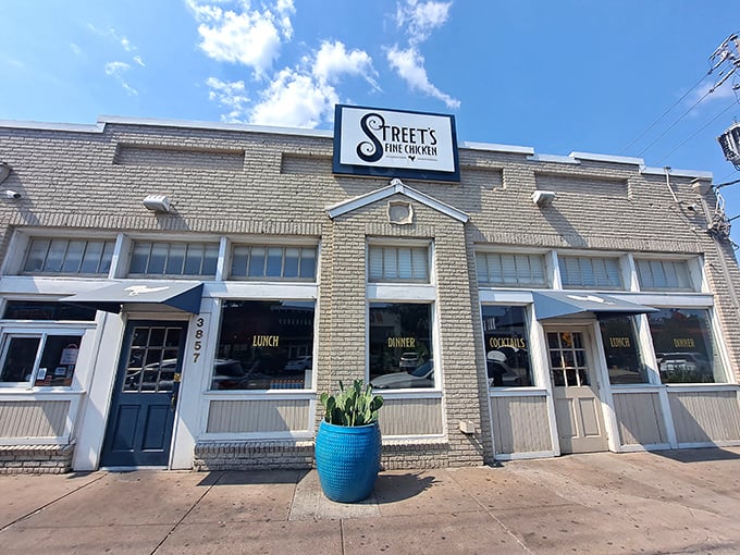 Sunshine highlights the "LUNCH" and "DINNER" signs—subtle reminders that any time is chicken time. Those blue planters aren't just pretty—they're patient waiters.