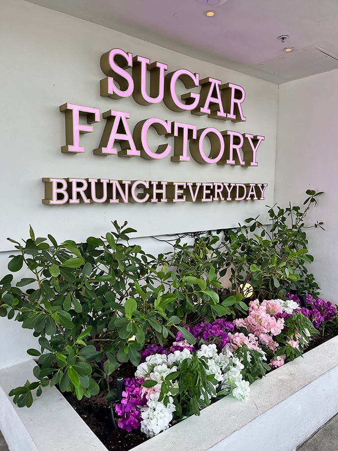 "Brunch Everyday" isn't just a sign at Sugar Factory – it's a lifestyle choice I fully support and endorse.