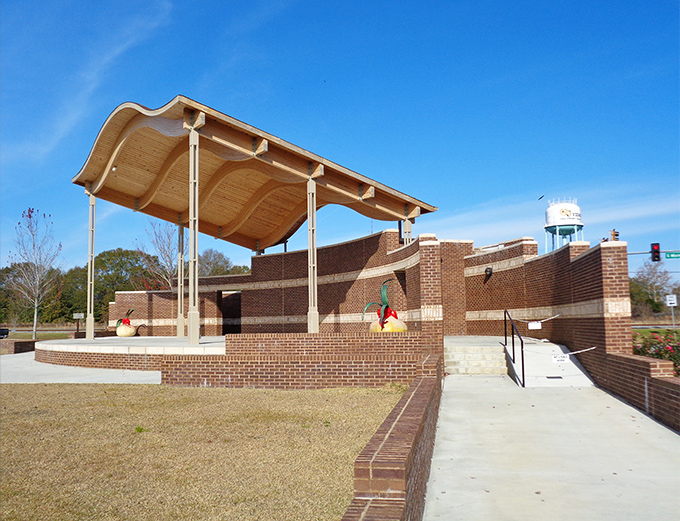 Vidalia's amphitheater brings community together under Georgia skies—because in small towns, entertainment isn't just consumed, it's shared.