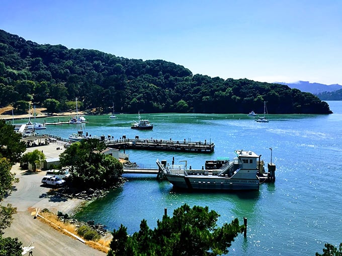 Ferry ahoy! Angel Island's welcoming committee consists of floating transportation and that glorious turquoise water you can't stop photographing.