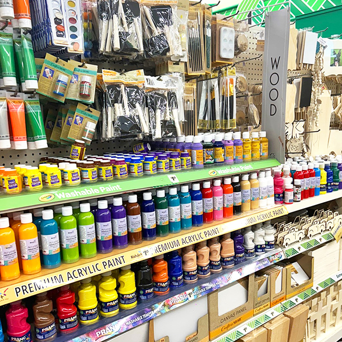 Picasso started somewhere—probably not with dollar store acrylics, but for the rest of us, these vibrant bottles hold creative potential unlimited by price.
