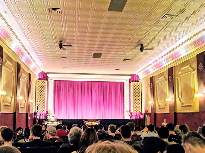 A packed house awaits the show, the pink glow of the curtain creating that magical moment of anticipation that streaming services simply cannot replicate.