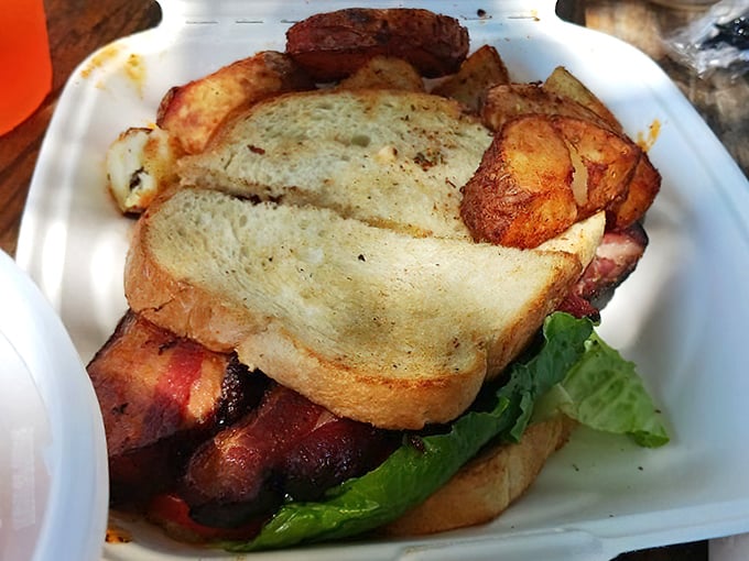 The BLT here isn't playing around—thick-cut bacon, garden-fresh lettuce, and toast that actually tastes like something. Potato wedges on the side? Yes, please.