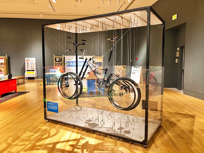 Not just any bicycle – this suspended two-wheeler tells the story of Indiana's surprising contributions to transportation innovation and design.