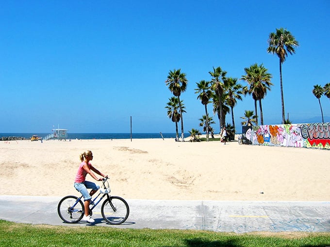 The beachside bike path – nature's treadmill with better scenery and significantly more interesting people-watching opportunities.