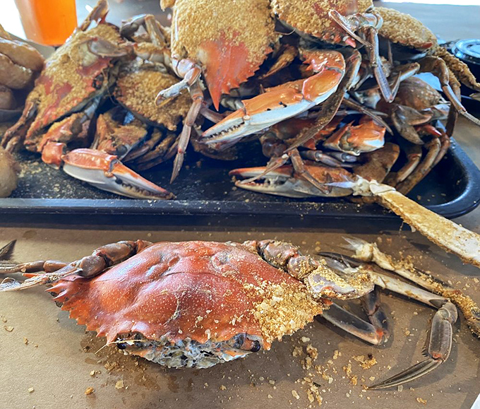 The main event arrives dusted in Old Bay glory. These magnificent crustaceans didn't sacrifice themselves for nothing – grab your mallet and get cracking!
