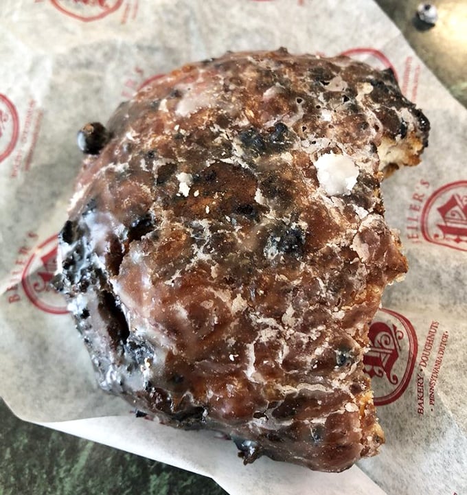 The blueberry fritter—nature's way of saying "You deserve this." A beautiful marriage of fruit and fried dough that's worth every calorie.
