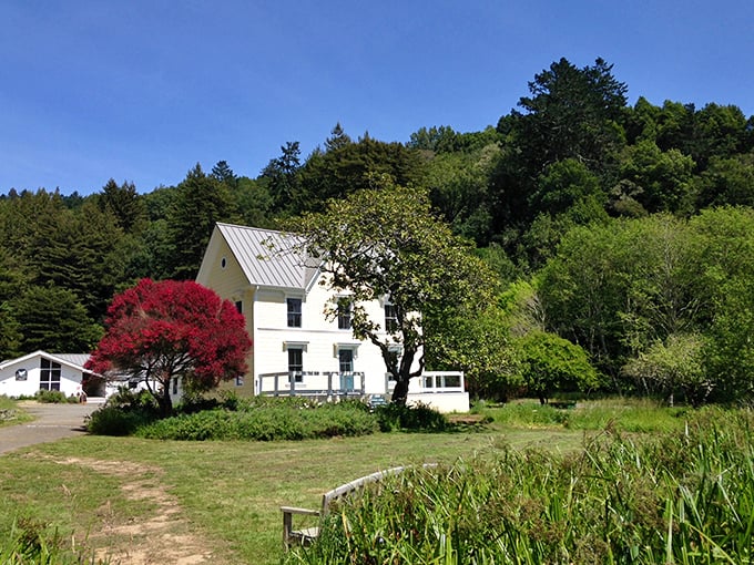 This white farmhouse with its splash of crimson landscaping could be a painting titled "California Coastal Dream" – Norman Rockwell meets Pacific charm.