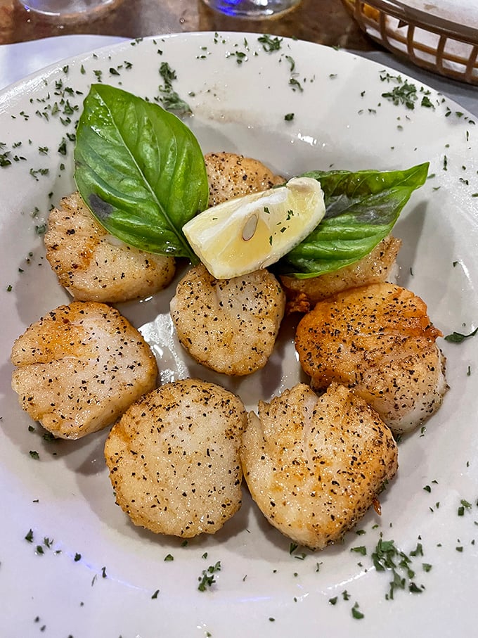 These scallops, arranged like pearls on a plate with fresh basil, prove that sometimes the simplest preparation lets perfect seafood speak for itself.