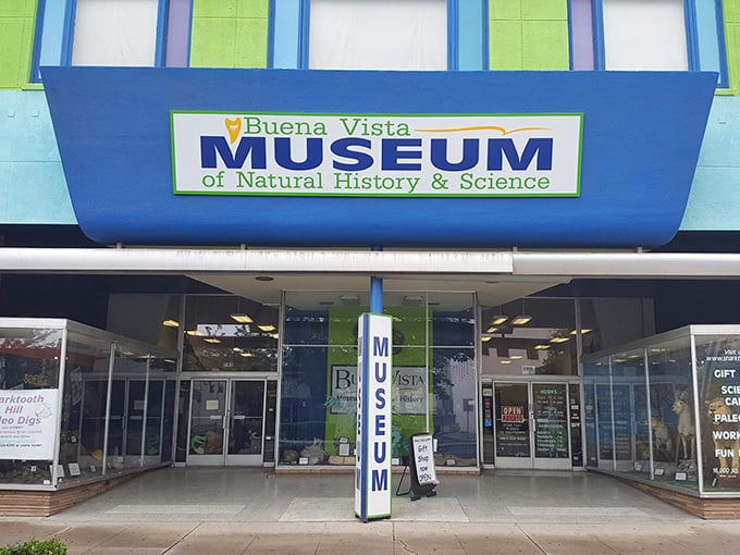 The Buena Vista Museum's vibrant façade promises adventures in natural history without the admission prices or pretension of big-city institutions.
