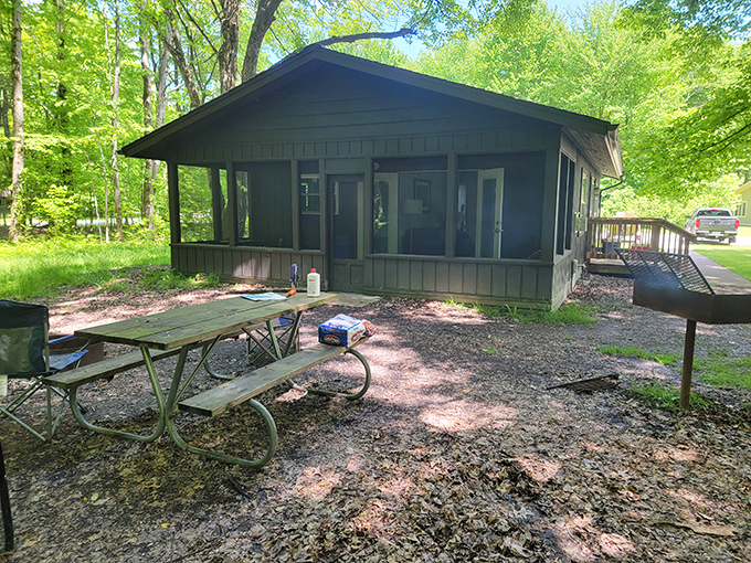 Rustic luxury at its finest – these cabins offer the perfect compromise for those who want to commune with nature but still appreciate a solid roof.